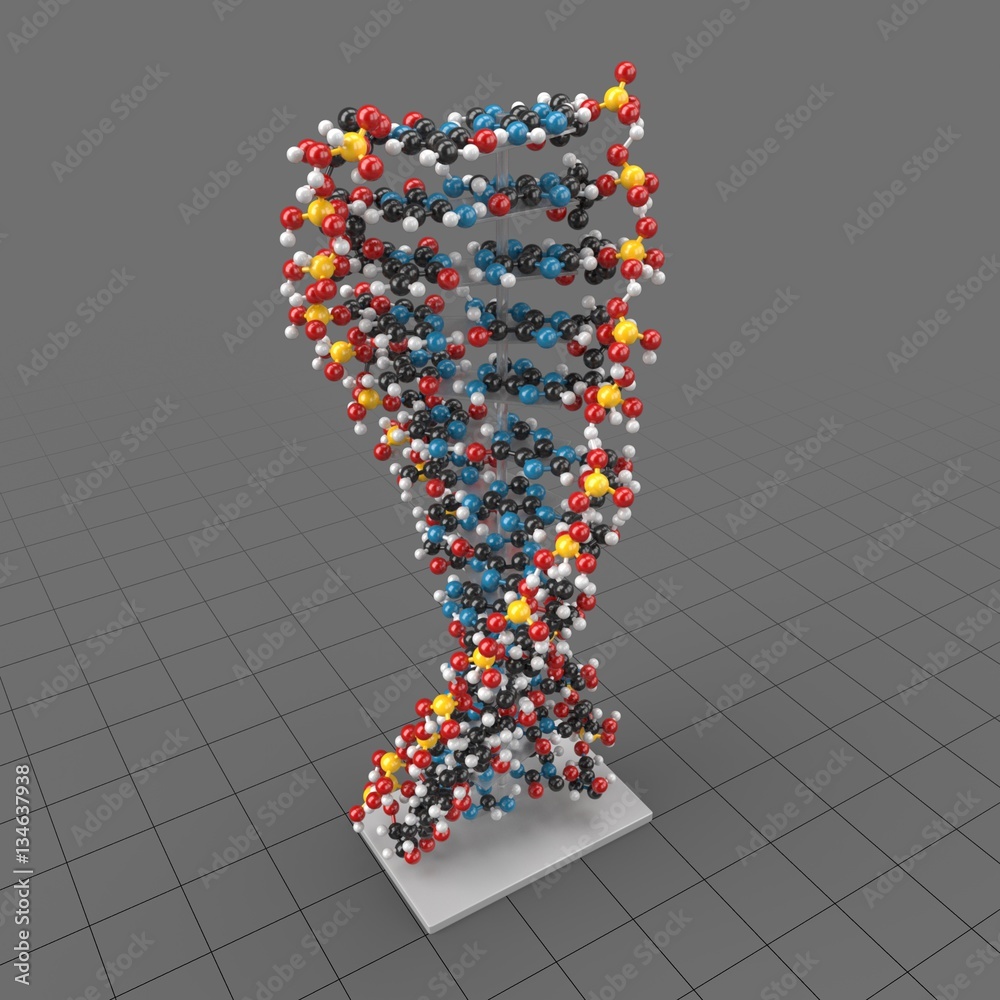Stand Dna Stock 3D asset | Adobe Stock