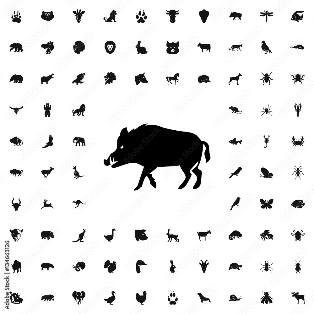 hog icon illustration Stock Vector | Adobe Stock