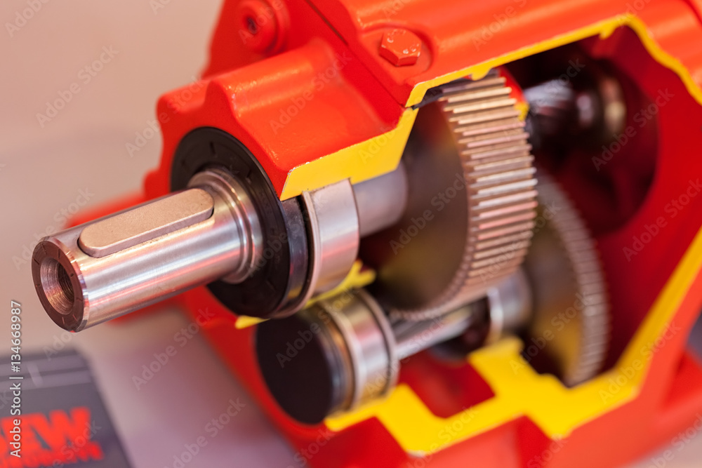 cross-section of the vertical cylindrical gear Stock Photo | Adobe Stock