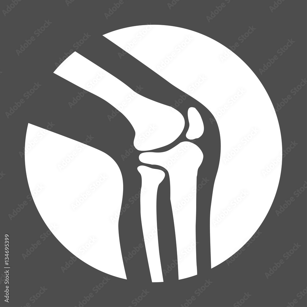 human knee joint Stock Vector | Adobe Stock
