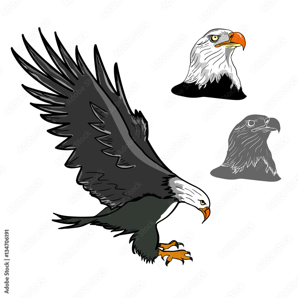 Flying Eagle Cartoon