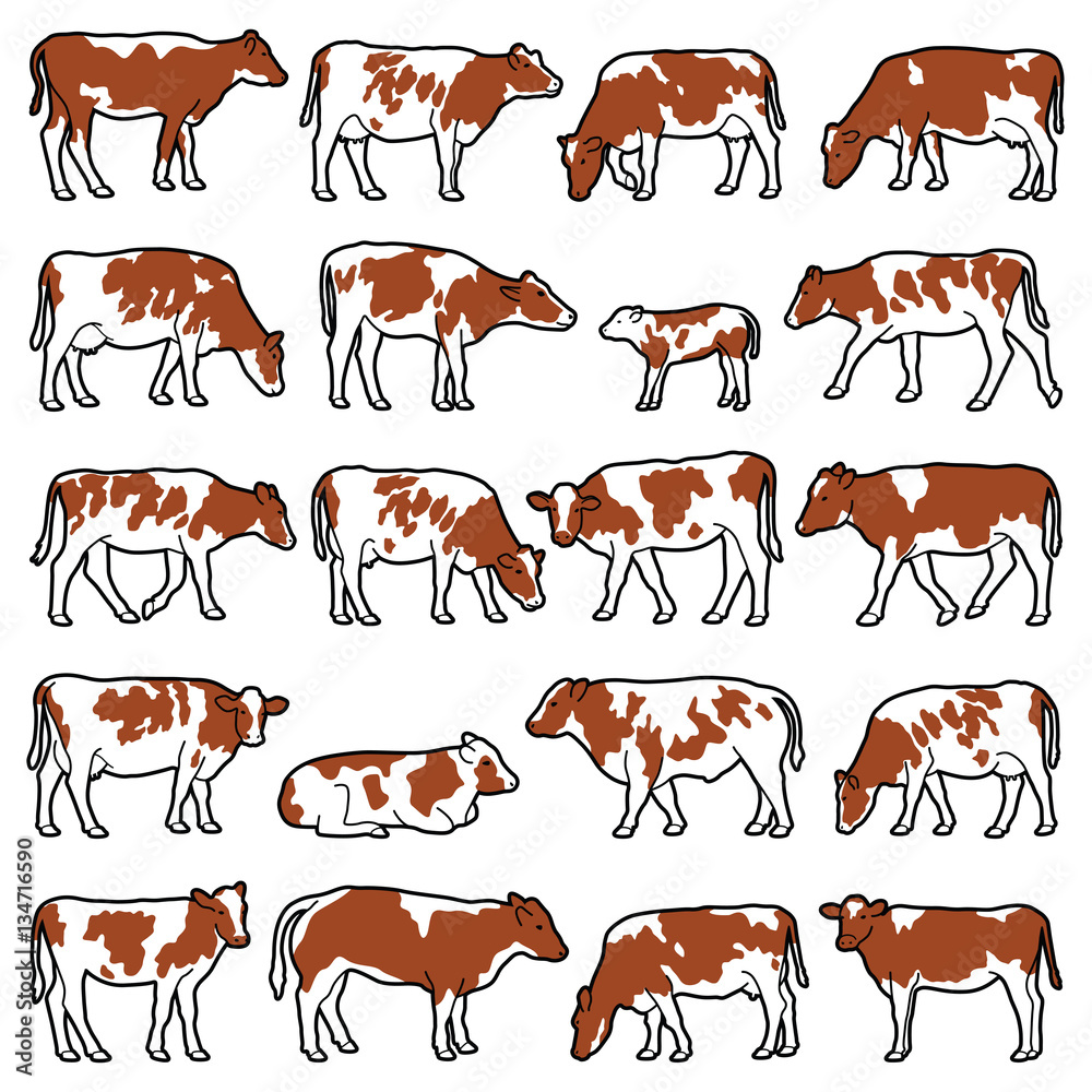 Cow collection - vector outline illustration Stock Vector | Adobe Stock