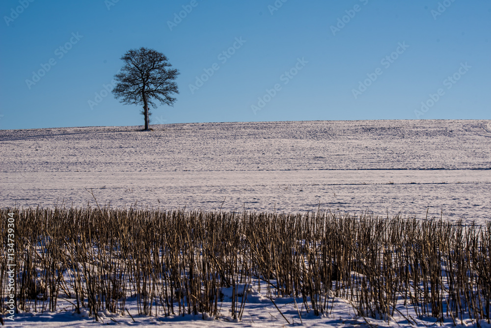 Schneeverwehungen Stock-Foto | Adobe Stock