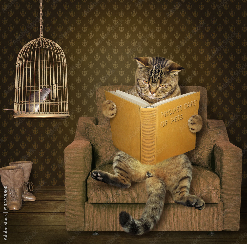 Clever Cat Book