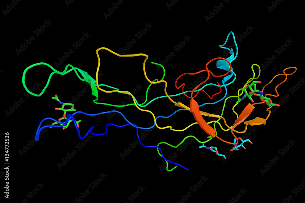 Human chorionic gonadotropin (3d structure), used for fertility Stock ...