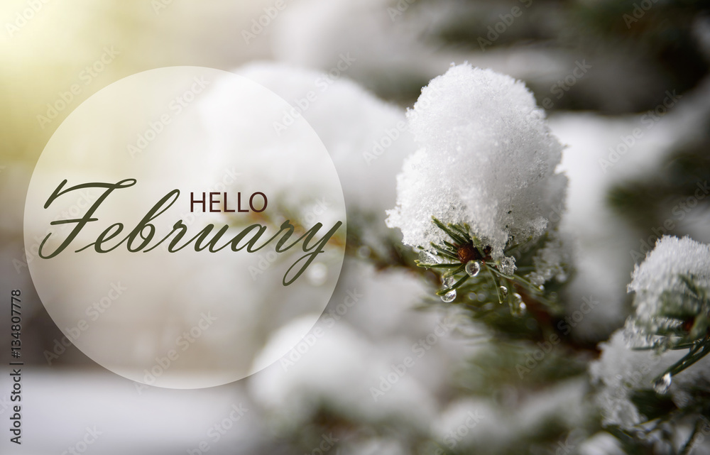 Hello February Wallpaper