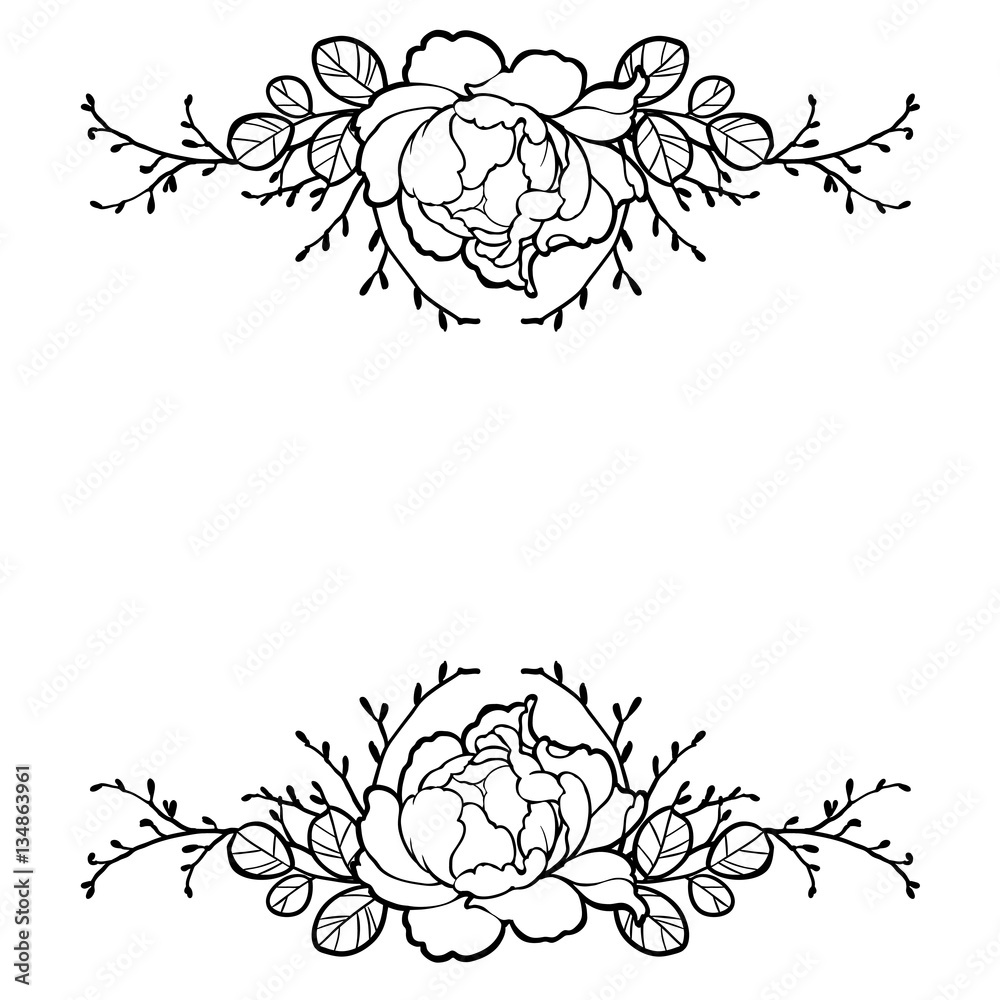 Hand drawn peony rose flower with branches for decorate. Groups of ...