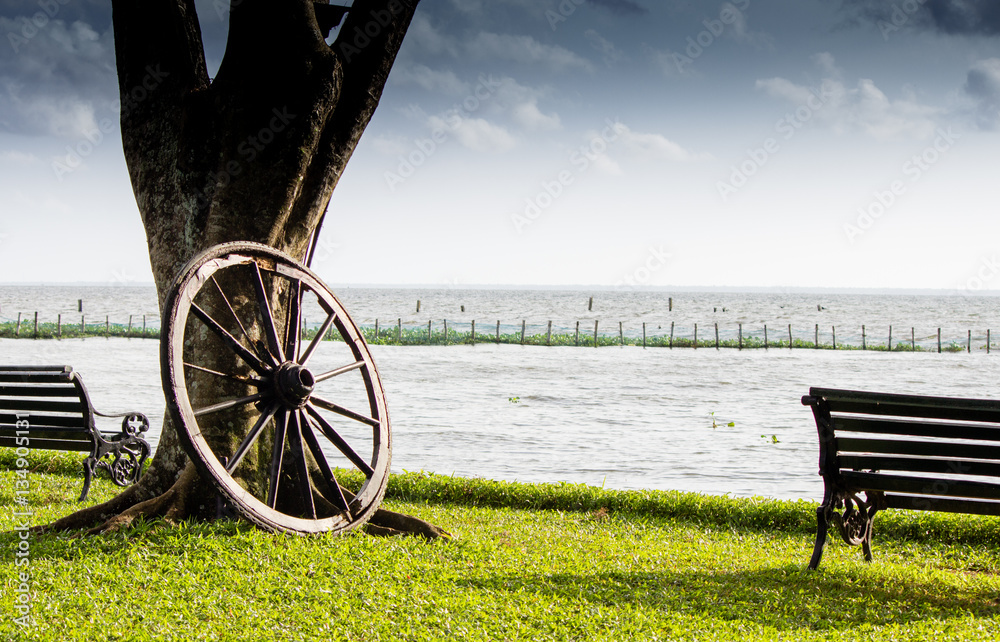 A chariot / cart wheel Stock Photo | Adobe Stock