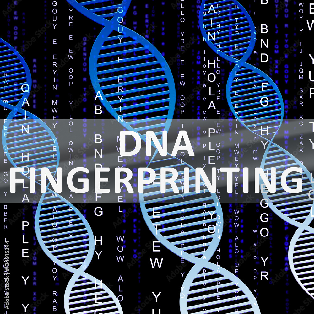 Dna Fingerprinting Shows Genetic Profiling 3d Illustration Stock ...