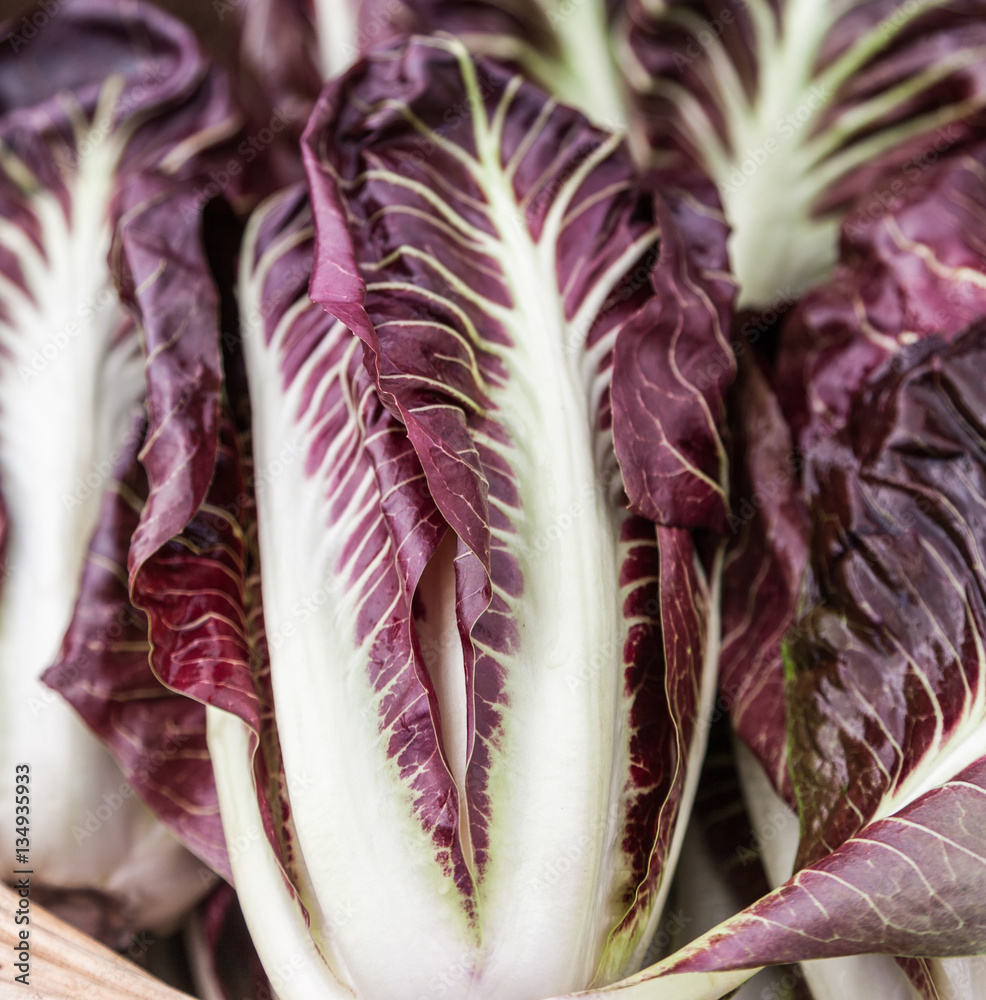 Radicchio Leaf