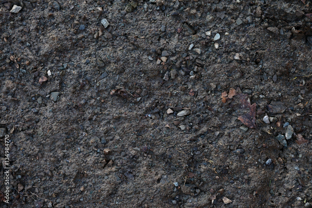 Winter and autumn earth texture. Soaked earth texture in cold color ...