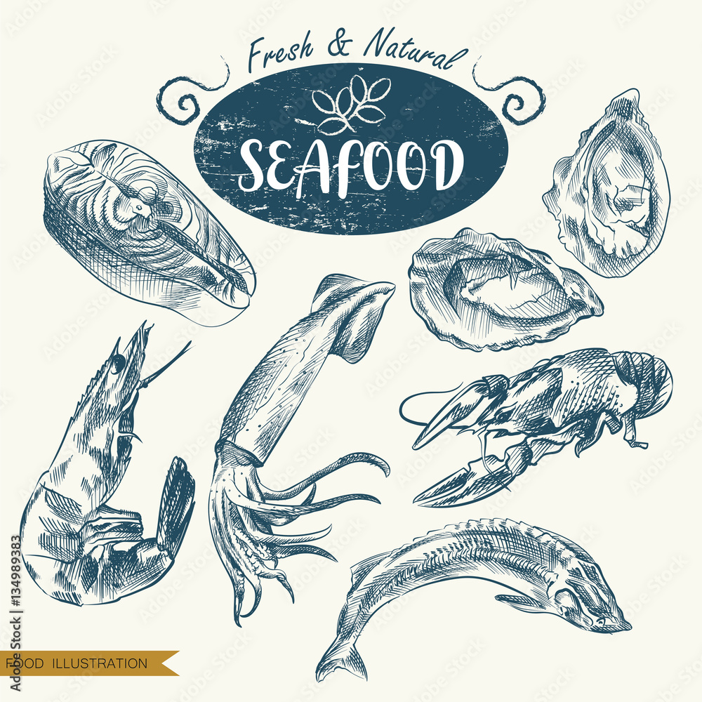Set of hand drawn seafood isolated on white background. Seafood sketch ...