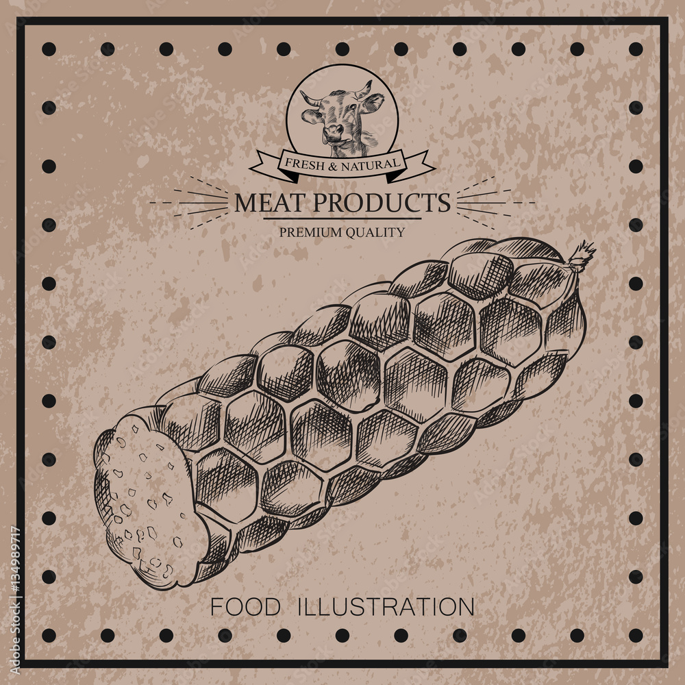 Graphic hand drawn Salami smoked sausage isolated on shabby background ...