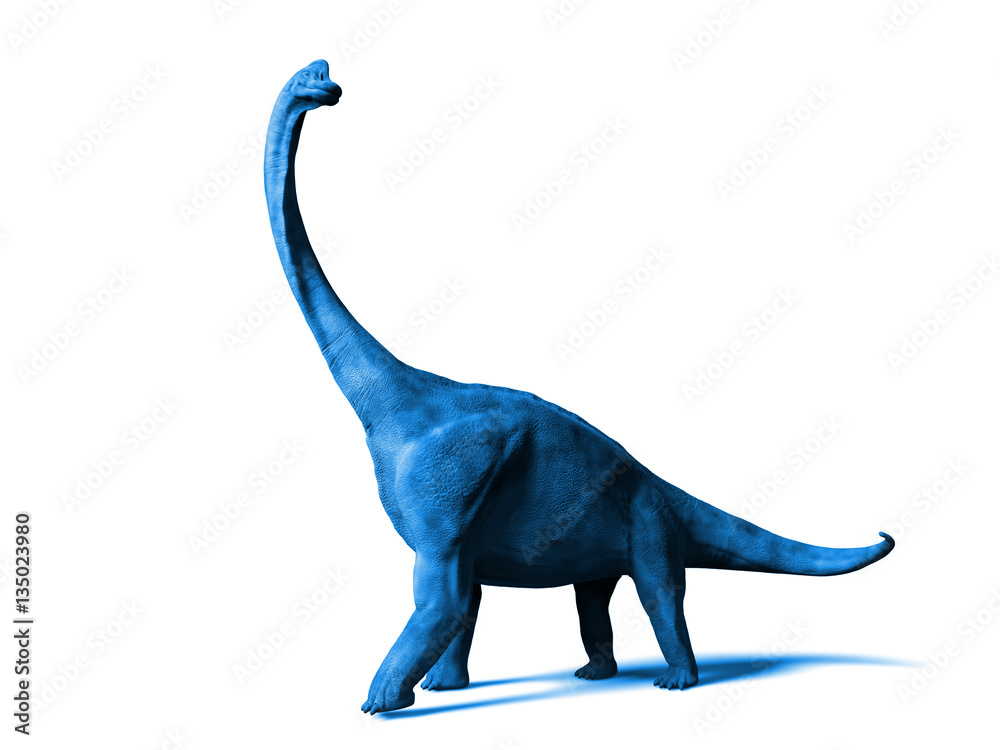 Brachiosaurus altithorax from the Late Jurassic isolated on white ...