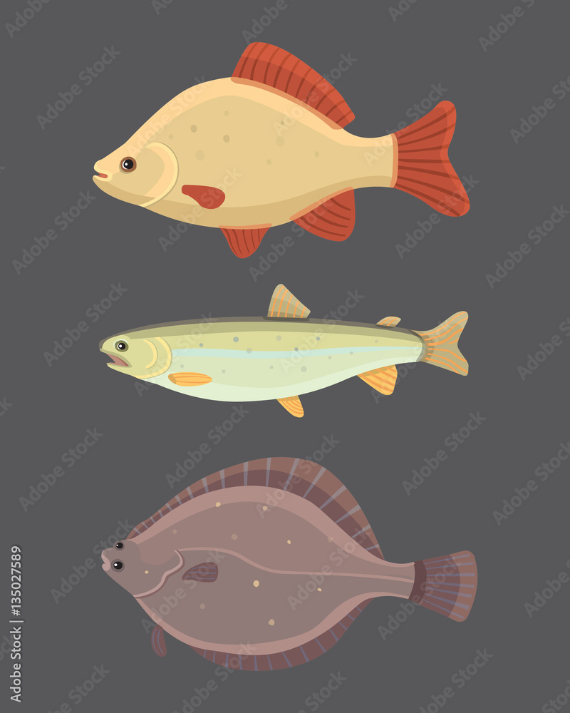 Isolated river fish. Set of freshwater sea cartoon fishes. Fauna ocean ...