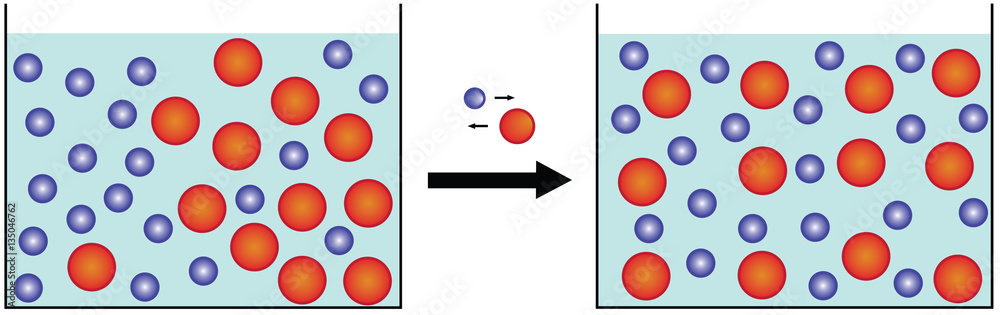 Diffusion scheme Stock Vector | Adobe Stock Diffusion scheme Stock Vector | Adobe Stock