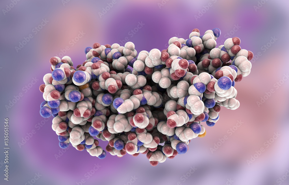 Molecular model of interferon-gamma 3D illustration. IFN-gamma is a ...