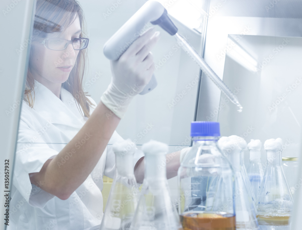 Focused PhD scientist pipetting LB medium into Erlenmeyer flask in ...