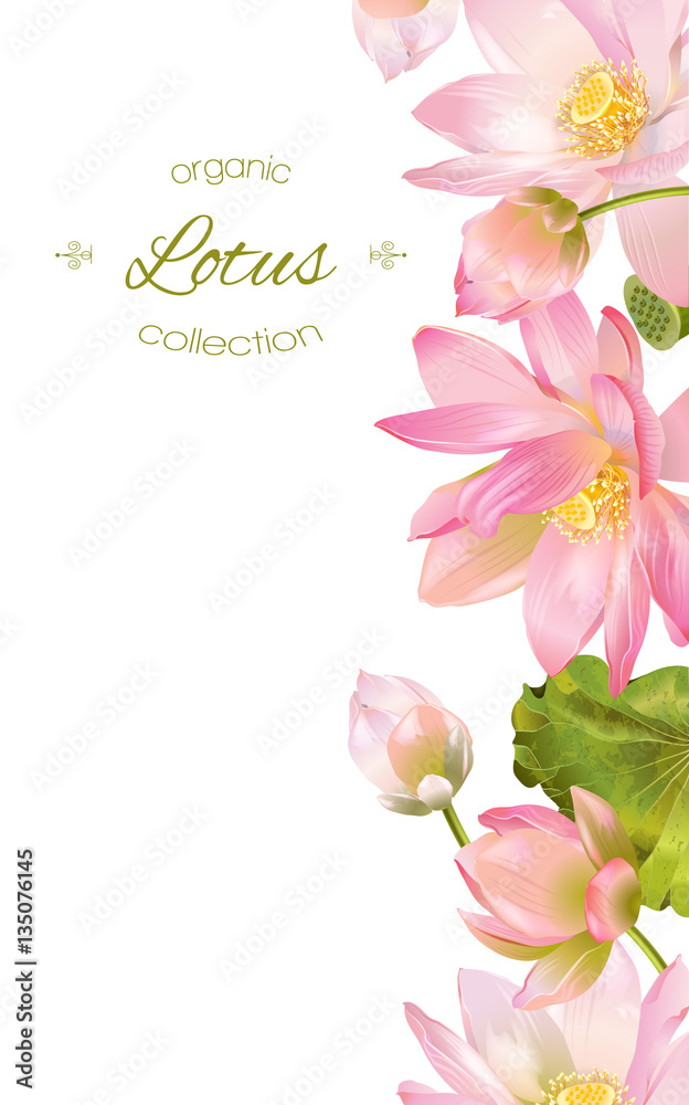 Lotus flower banner Stock Vector | Adobe Stock