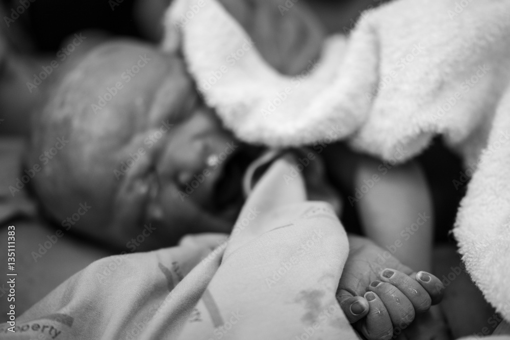 Freshly born baby skin to skin on mothers chest caucasian female ...