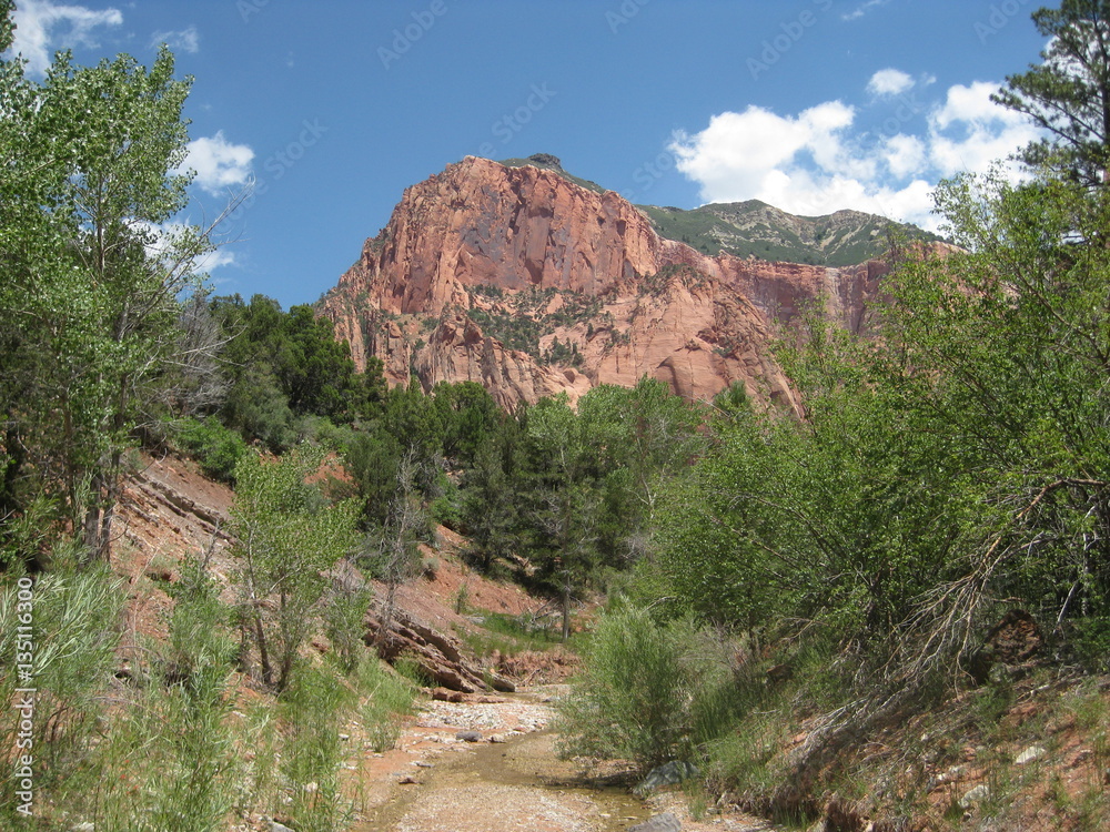 Horse Ranch Mountain, the Highest Peak in Zion National Park Stock ...