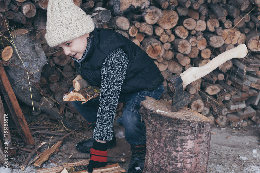 Little boy chopping firewood in the front yard at the day time. Stock ...