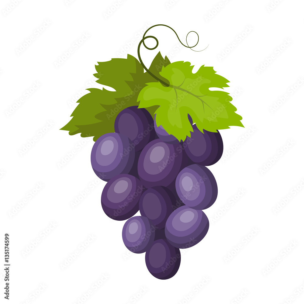 Bunch of wine grapes icon in cartoon style isolated on white background ...