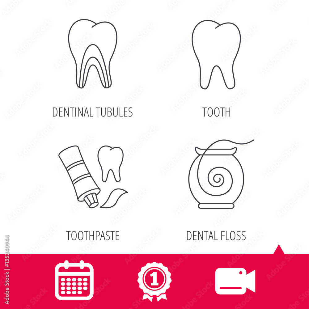 Achievement and video cam signs. Tooth, dentinal tubules and dental ...