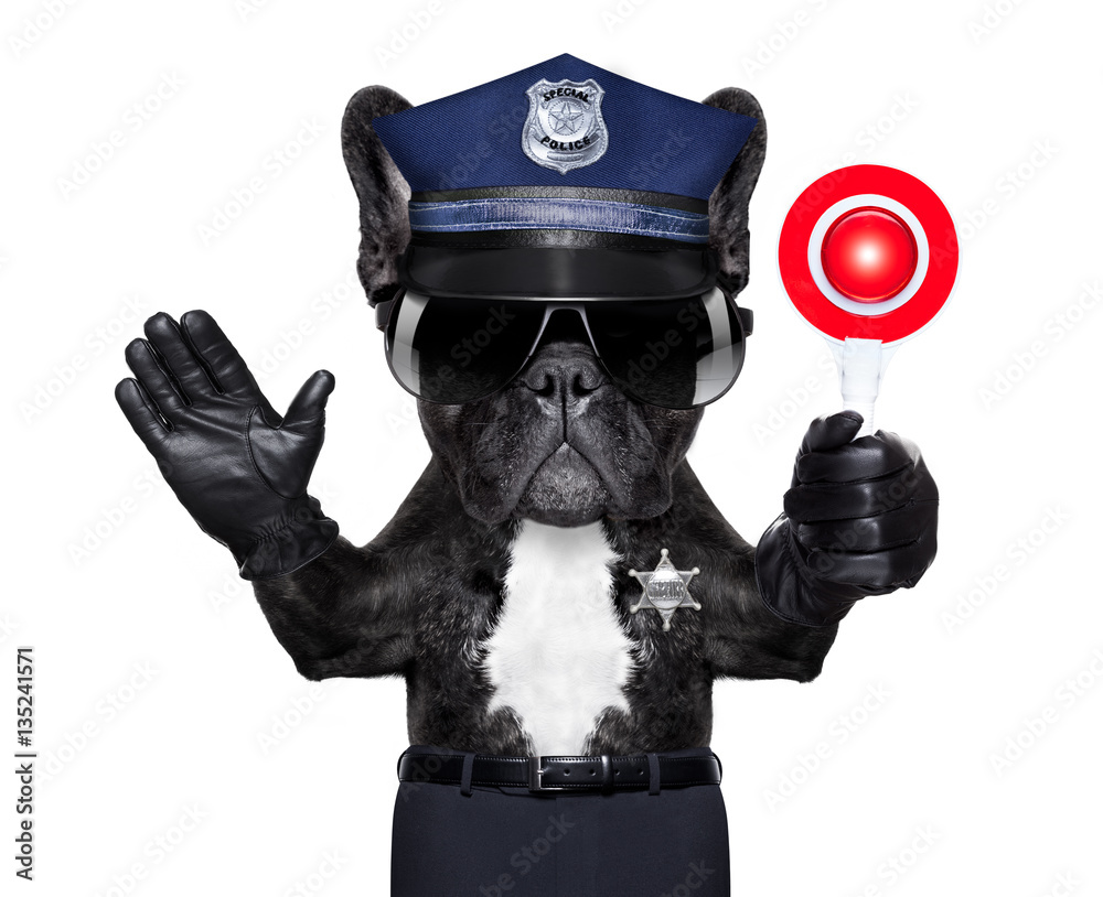 POLICE DOG ON DUTY WITH stop sign and hand , isolated on white blank ...