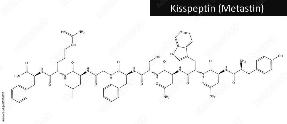 Molecular structure of protein Kisspeptin Illustration Stock | Adobe Stock