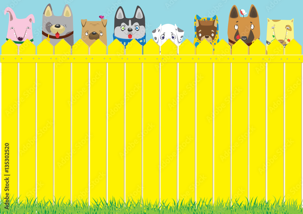 Cute pets background Stock Vector | Adobe Stock