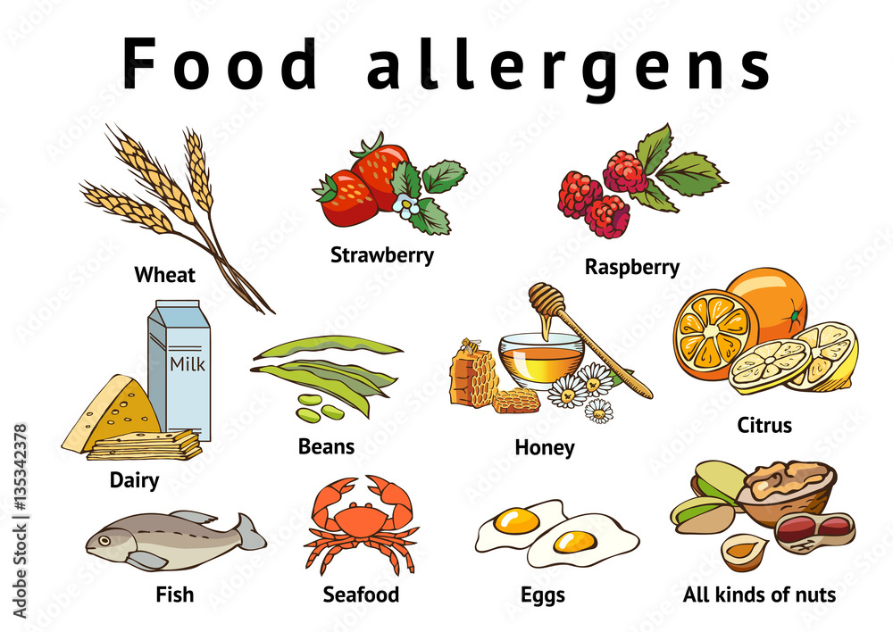 Food allergens. Isolated on a white background Stock 벡터 | Adobe Stock