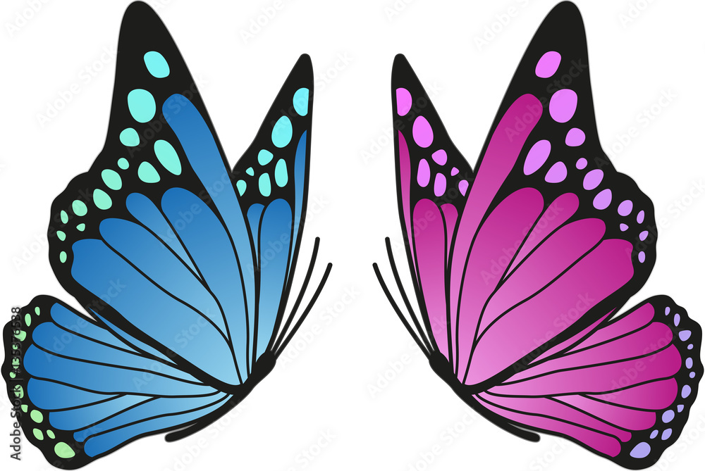 Vector illustration of two butterflies facing each others Stock Vector ...