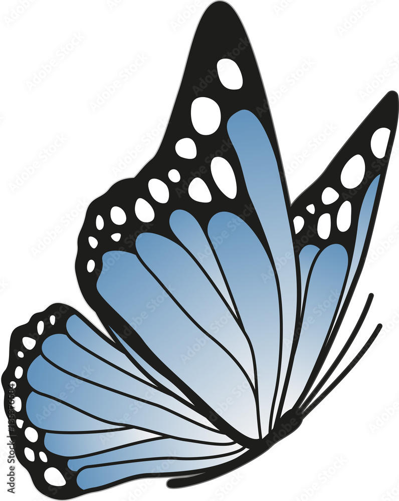 Vector illustration of a blue butterfly Stock Vector | Adobe Stock