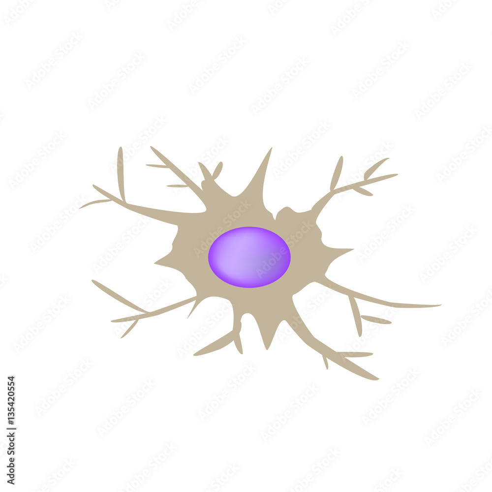 Dendritic cell immunity. Infographics. Vector illustration on isolated ...