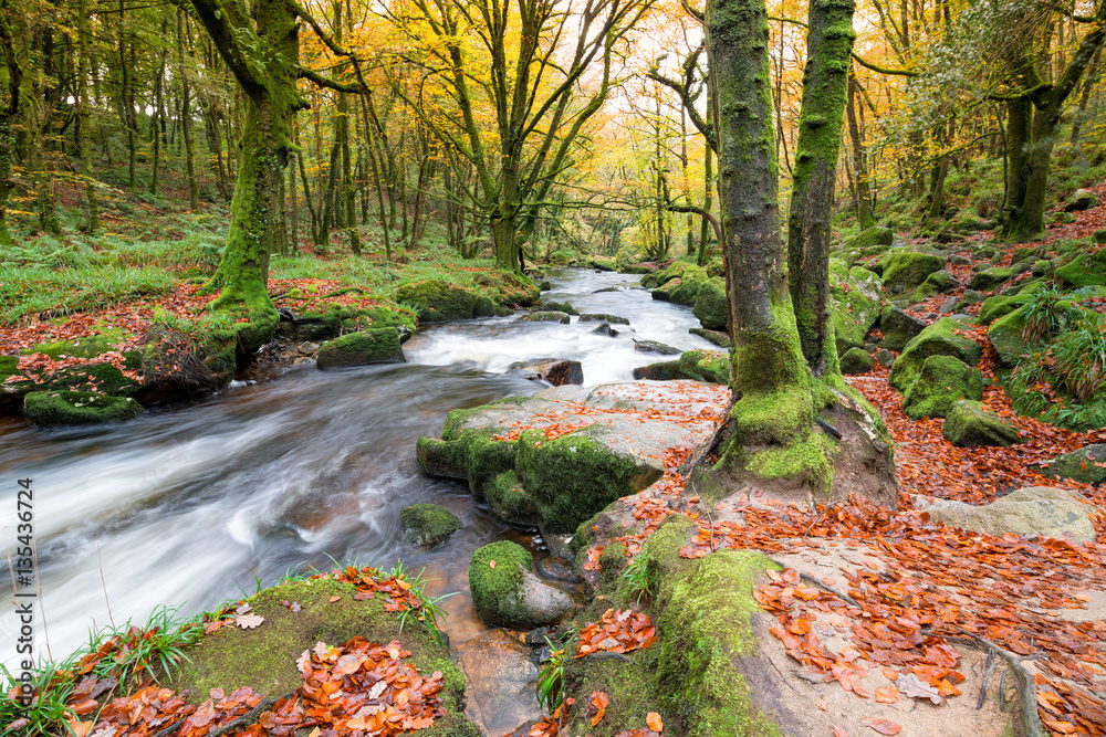 Autumn in Cornwall Stock Photo | Adobe Stock