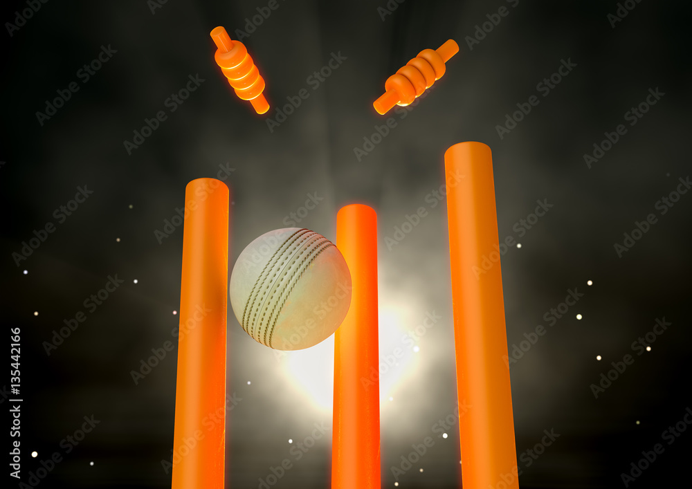 Cricket Ball Hitting Wickets Stock Illustration | Adobe Stock