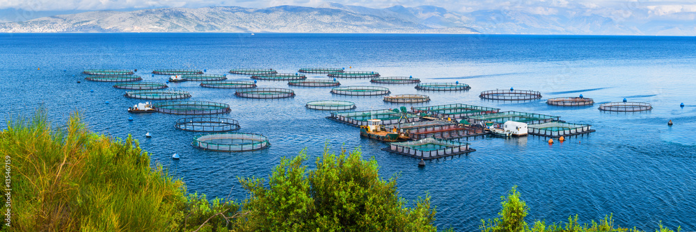 Foto de Sea fish farm. Cages for fish farming dorado and seabass. The ...
