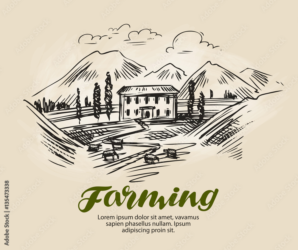 Farm sketch. Farming, agriculture vector illustration Stock Vector ...