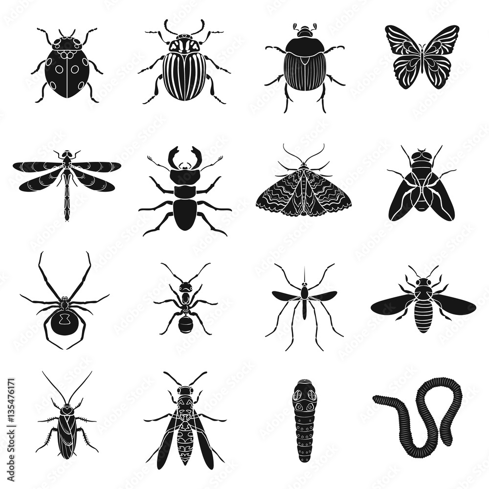 Insects set icons in black style. Big collection of insects vector ...