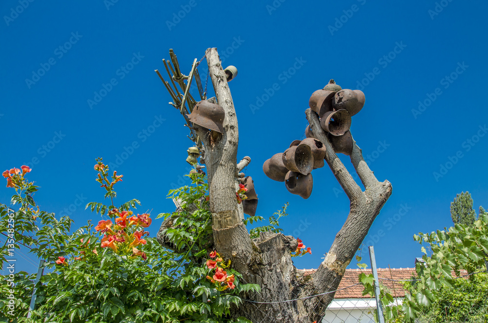 First World War Tree - First World War Memorial Tree with German ...