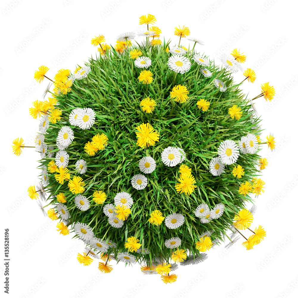 Green grass sphere with flowers Stock Illustration | Adobe Stock