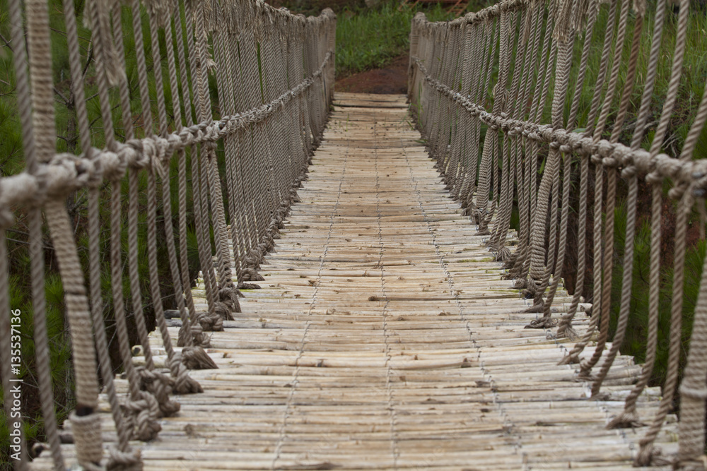 Close up of a hanging bridge Stock Photo | Adobe Stock