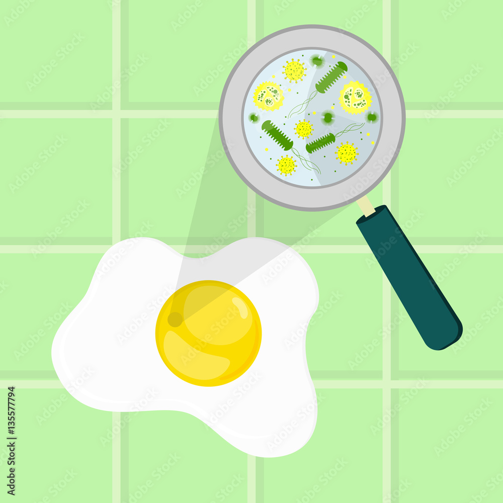 Contaminated egg. Microorganisms, virus and bacteria (salmonella) in ...