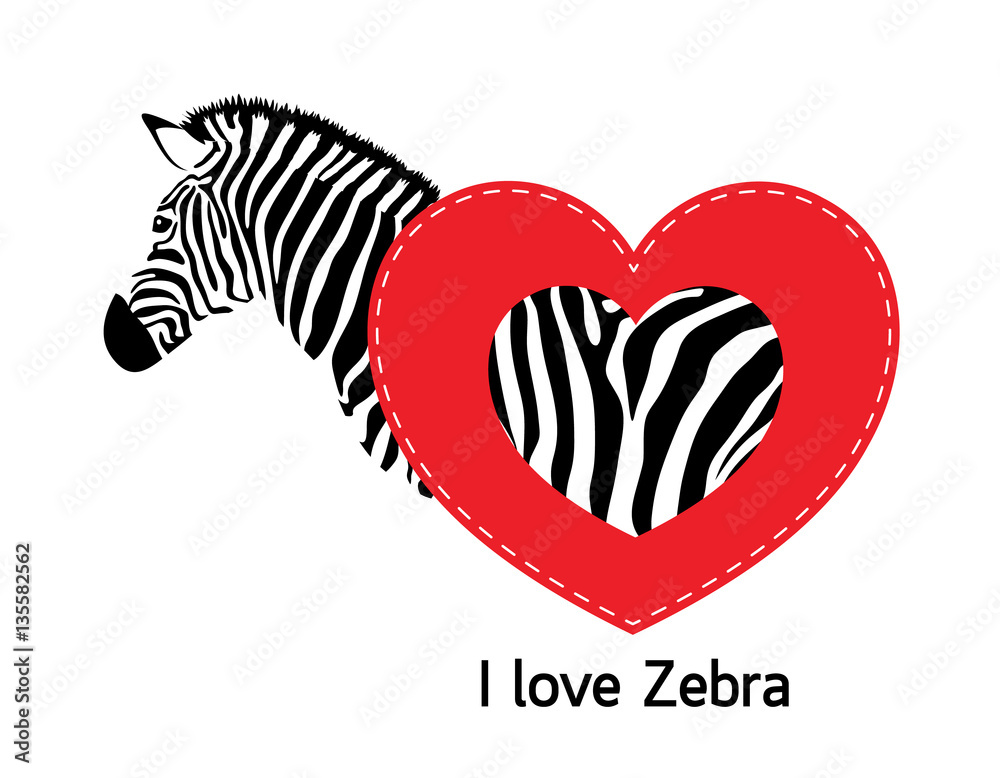 Zebra with heart. Love zebra concept, illustration isolated on white ...