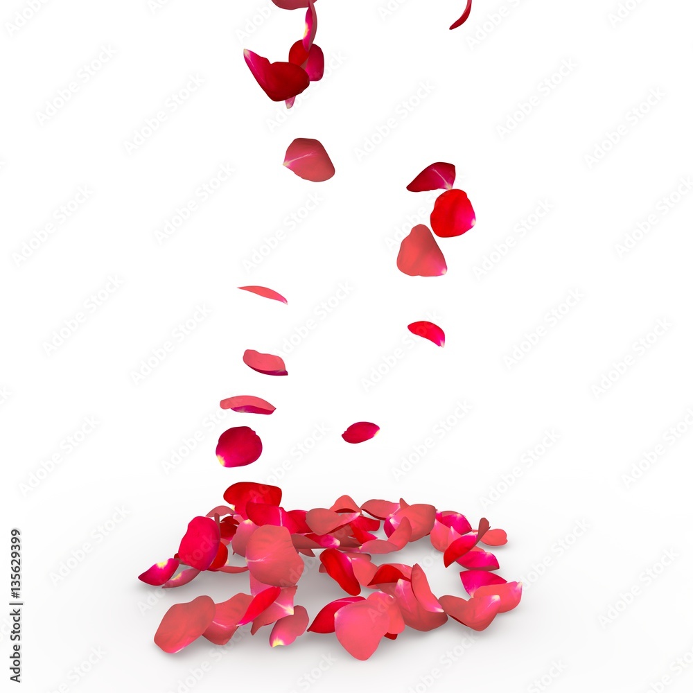 Rose petals fall to the floor Stock Photo | Adobe Stock