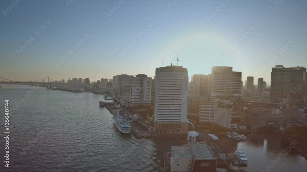 Aerial view of Tokyo, Japan Stock Video | Adobe Stock