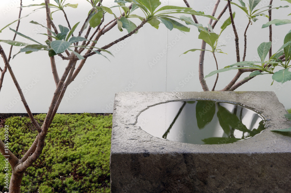 Water feature and tree in Japanese style garden Stock Photo | Adobe Stock