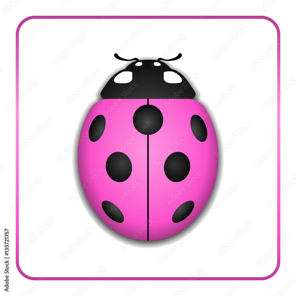 Pink Lady Bug
