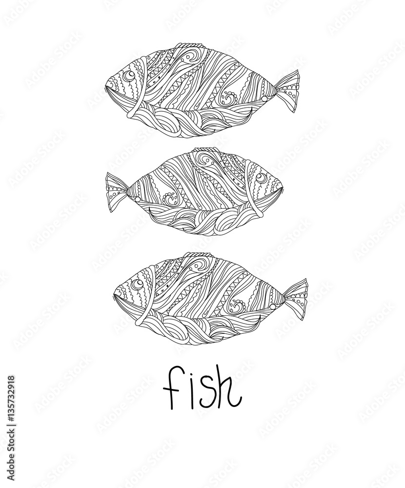 solid line drawing of the fish labeled fish Stock Vector | Adobe Stock